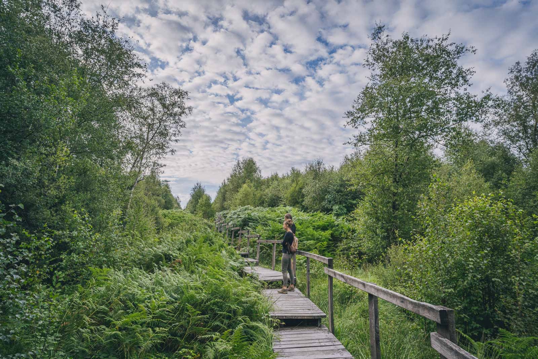 La réserve naturelle domaniale de la Fange de l'Abîme - Territoire Parc ...